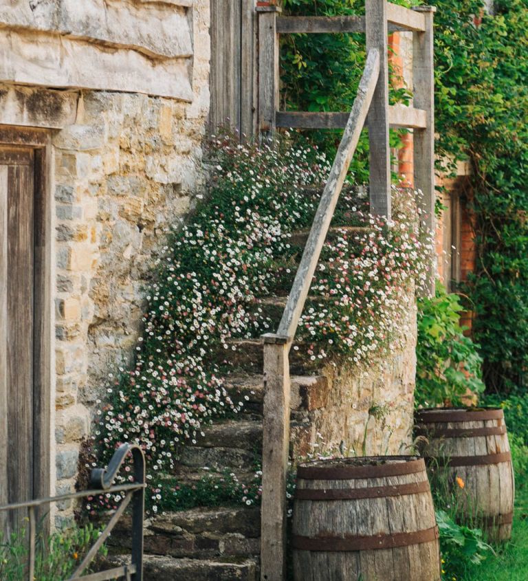 Thornfalcon | Farm