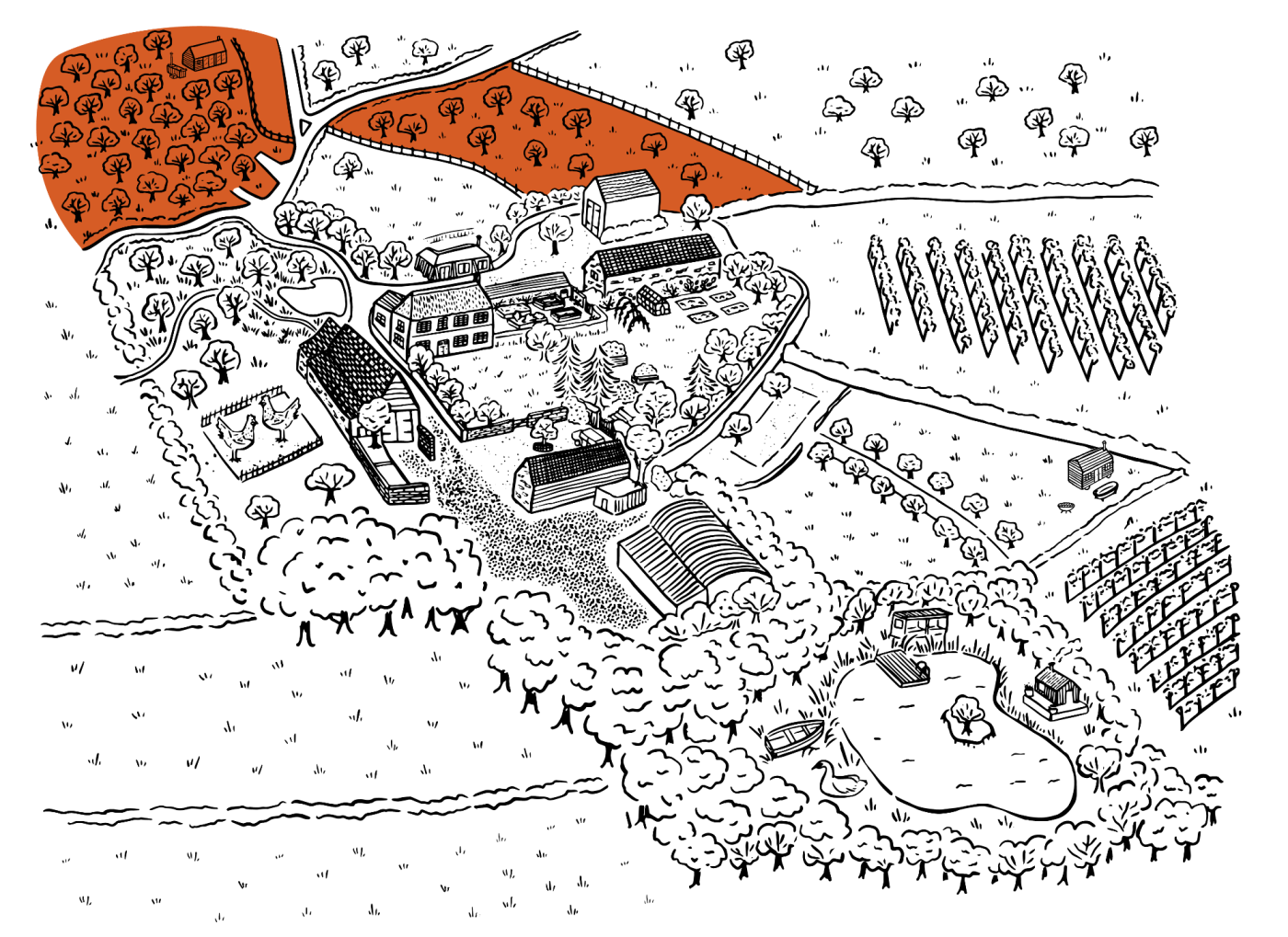 Thornfalcon Winery & Press