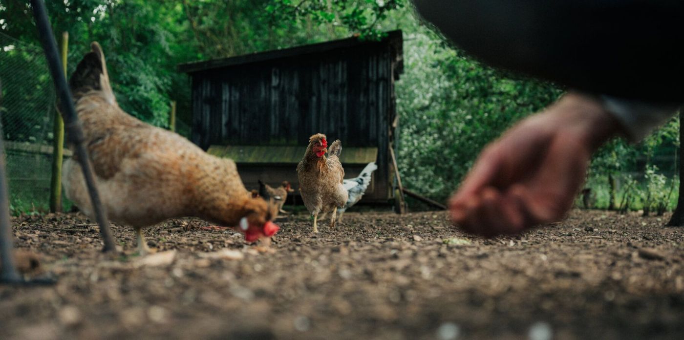 Thornfalcon | Film Location